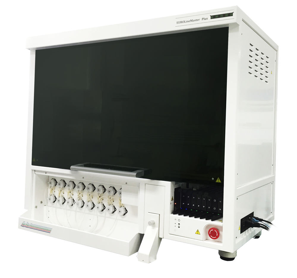 全自动免疫印迹仪 EUROLineMaster Plus-A-欧蒙中国